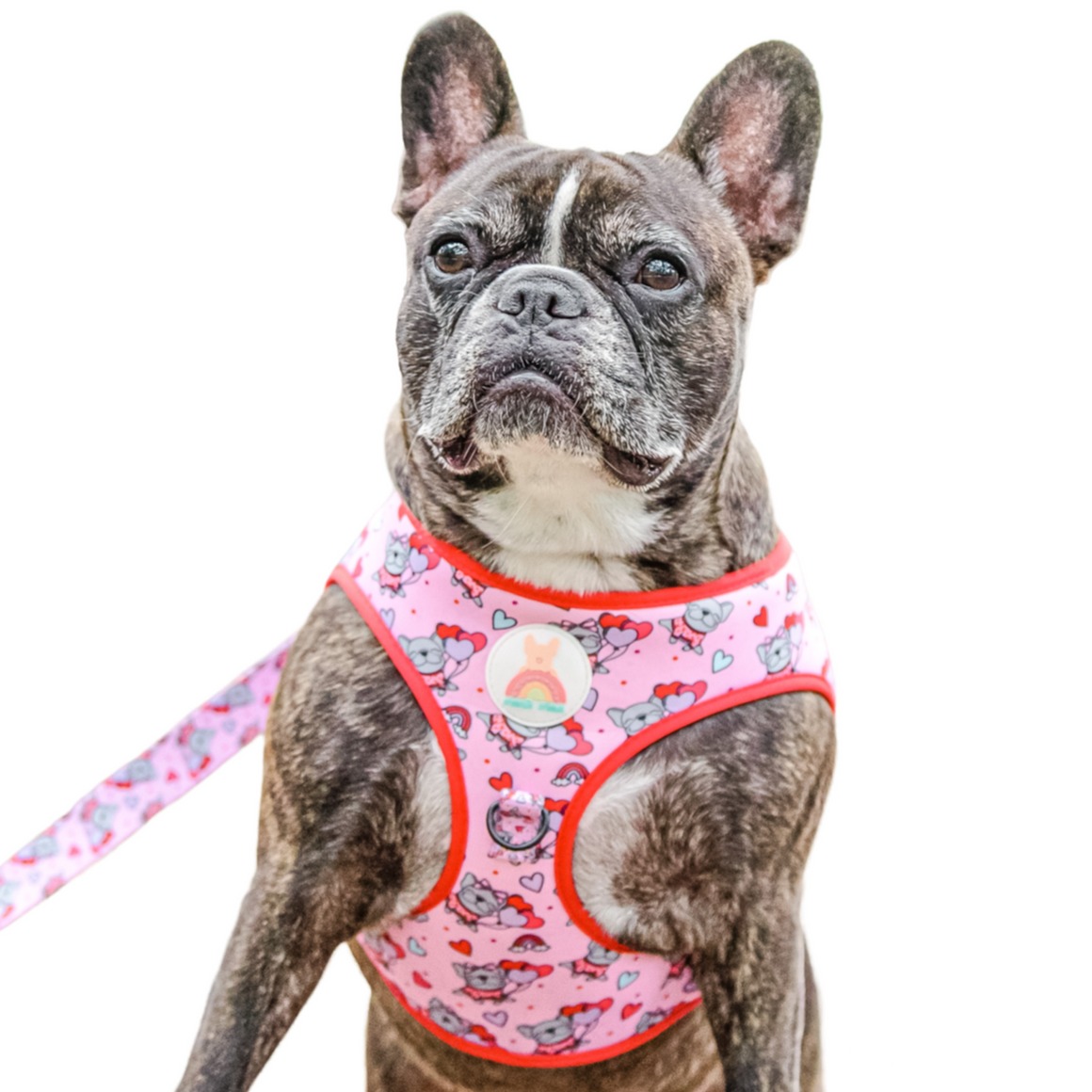 French Bulldog Shop- Frenchie Friends Brand – Frenchie Friends LLC