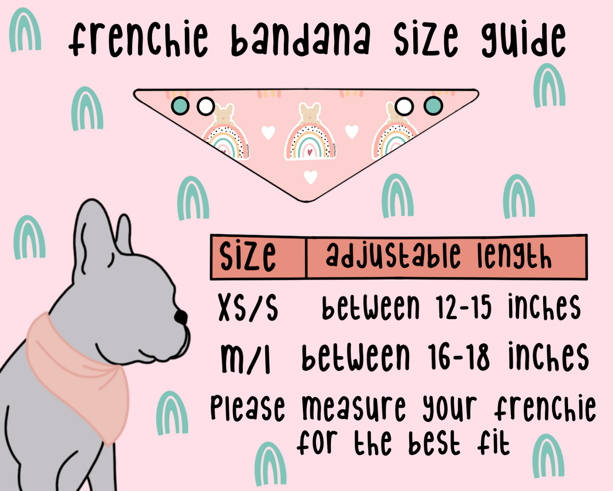 Teal Leopard Frenchie Reversible Snap On Dog Bandana – Frenchie Friends LLC