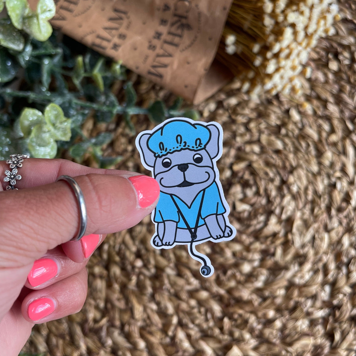 Doctor Single Sticker – Frenchie Friends LLC